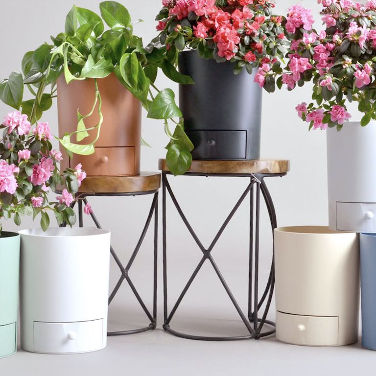 DIY Orchid Potting Mix Recipes To Boost Blooms & Save Money | Gardening ...