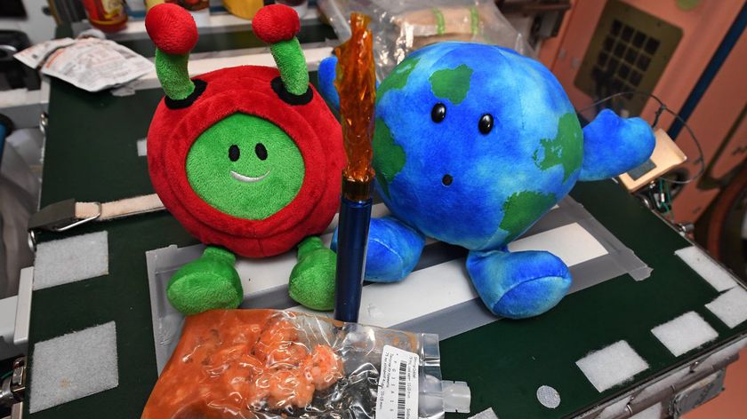 In Photos: Space Station Astronauts Bond with Little Earth 'Celestial ...