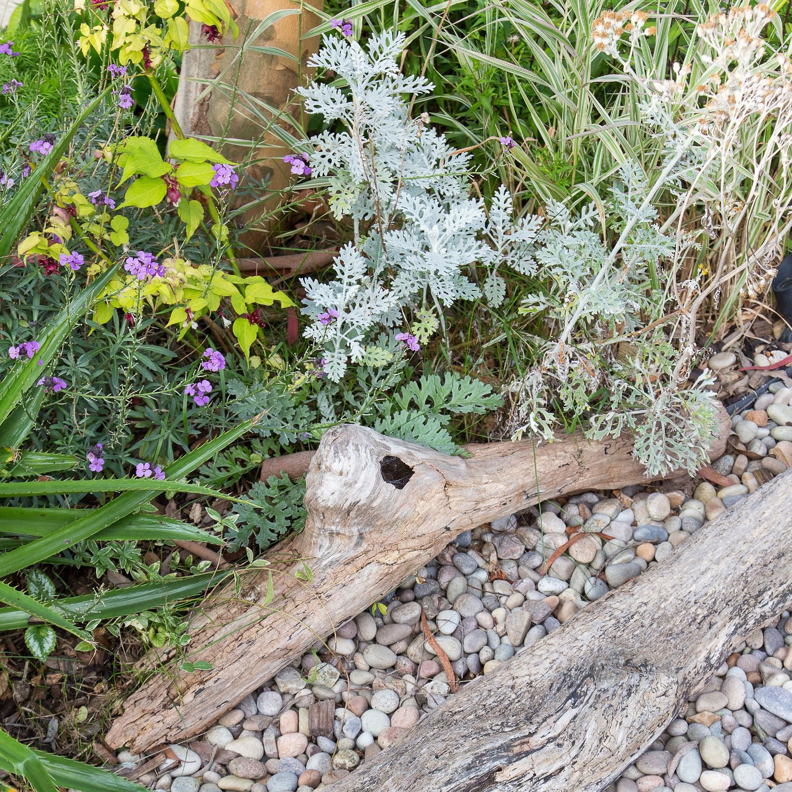 How does flame weeding work? Experts share | Ideal Home