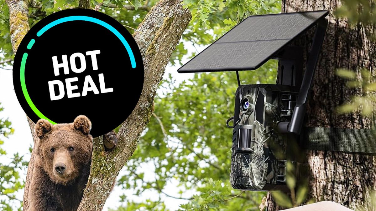 Solar-powered cellular trail camera lets you track wildlife remotely is ...