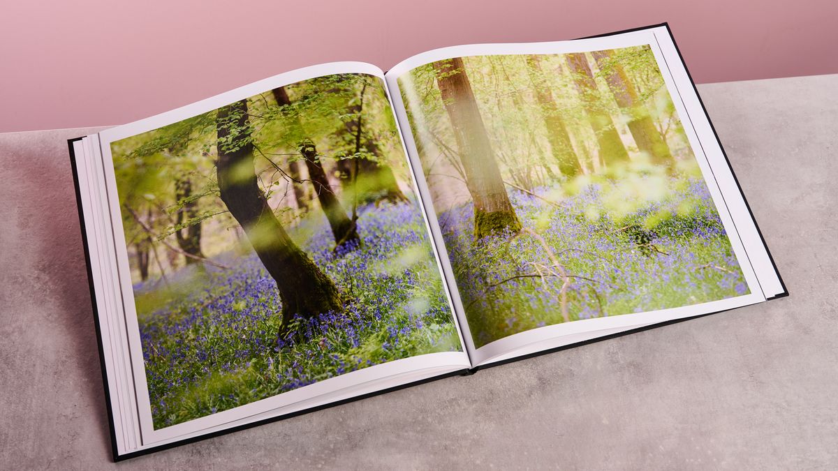 Snapfish Photo Book review: a good way to collate memories without ...