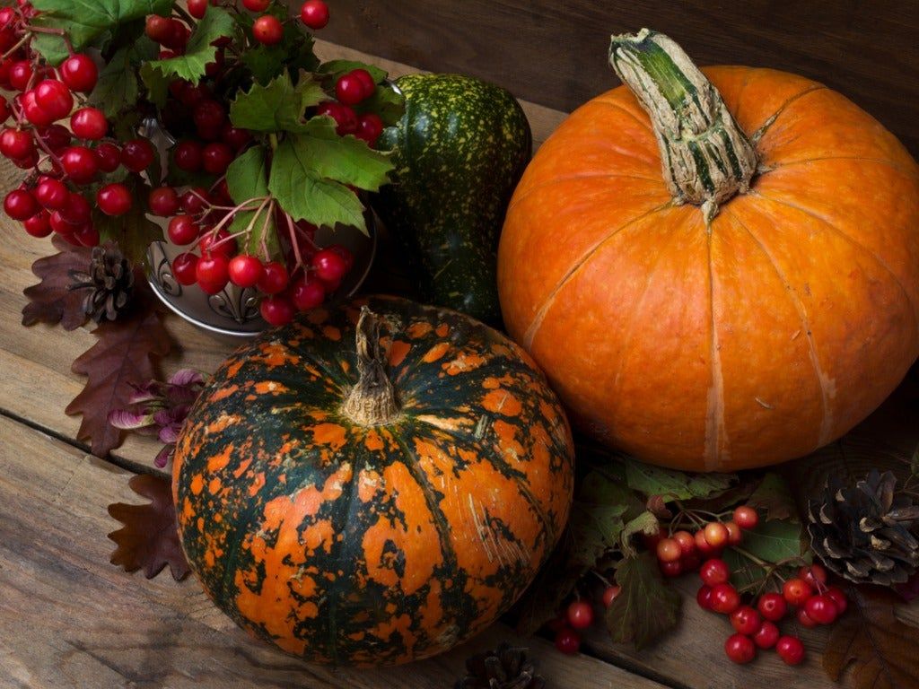 Thanksgiving Garden Decorations: Growing Fall Decorations For ...