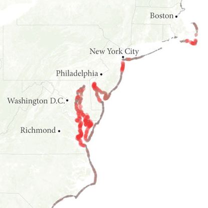 The danger zones in America's shrinking coastline | The Week