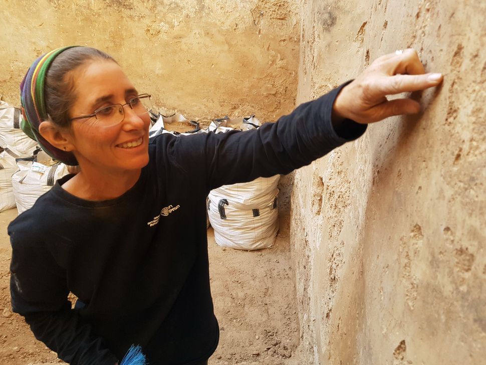 Photos: Biblical-Era Cistern and Carvings Discovered in Israel | Live ...