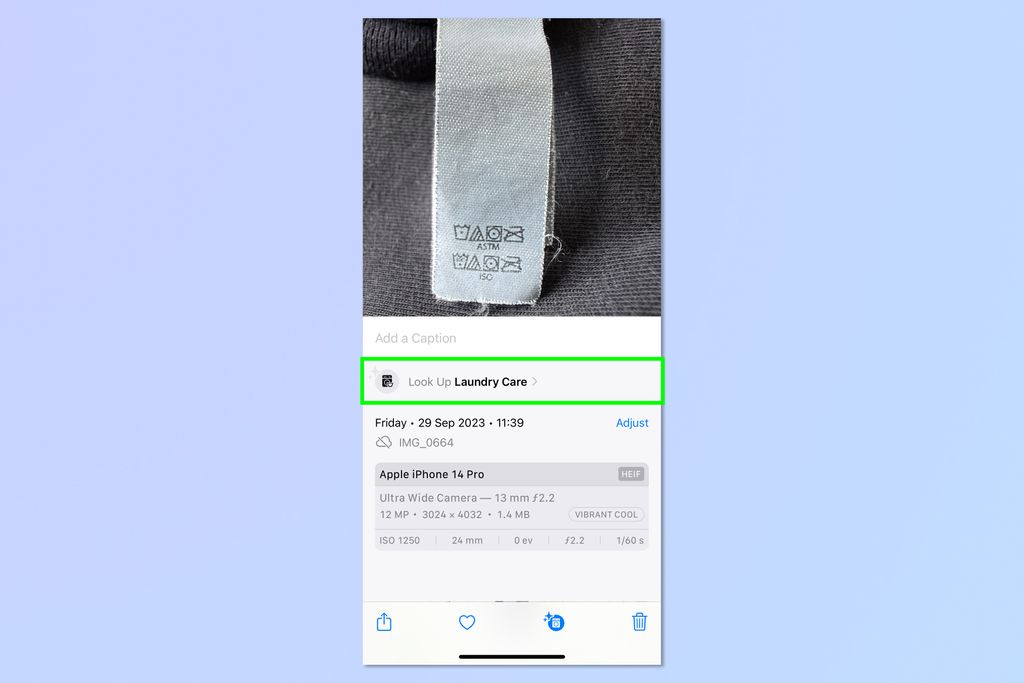 7 best ways to use your iPhone's awesome Visual Look Up feature | Tom's ...