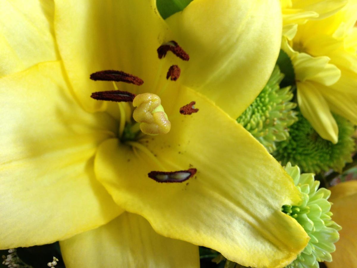 iPhone 5 camera review | iMore