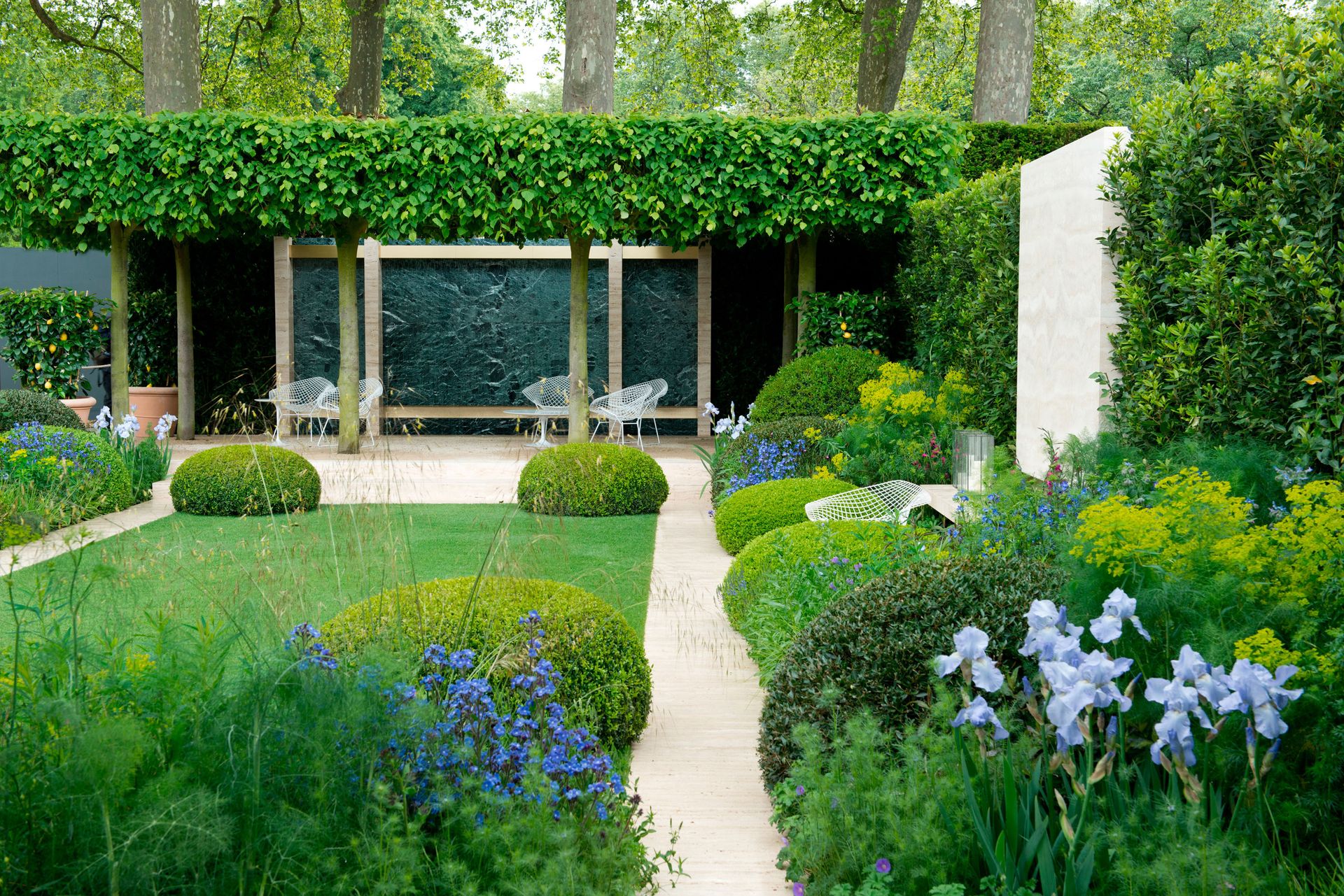 Rewilding: how to rewild your garden in 10 easy steps | Gardeningetc