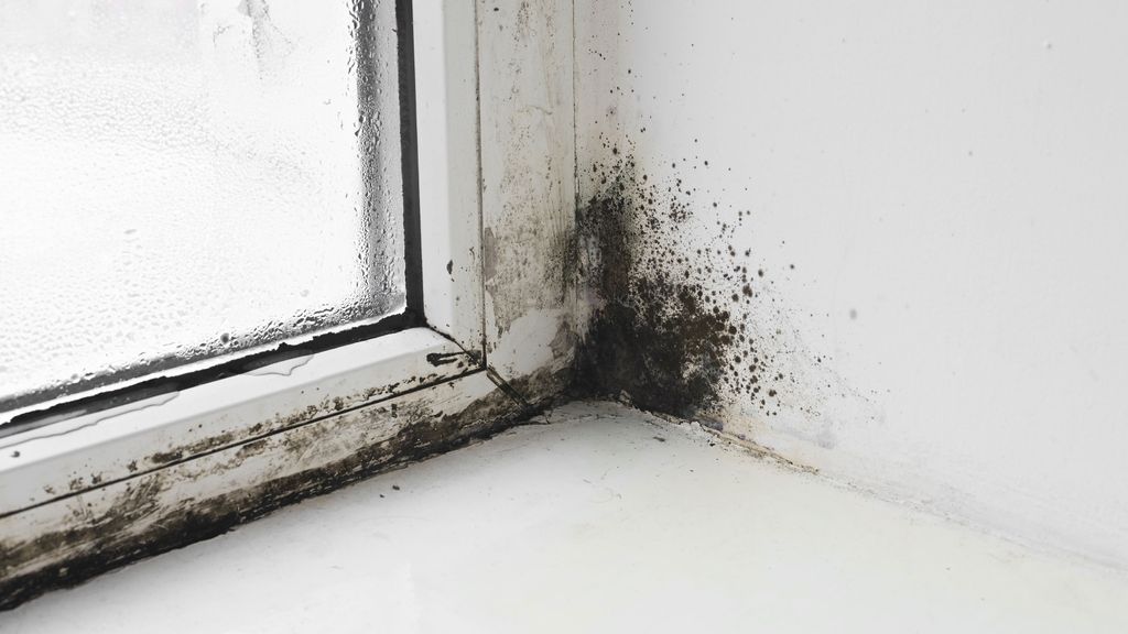 How to prevent and remove mould on windows | Homebuilding