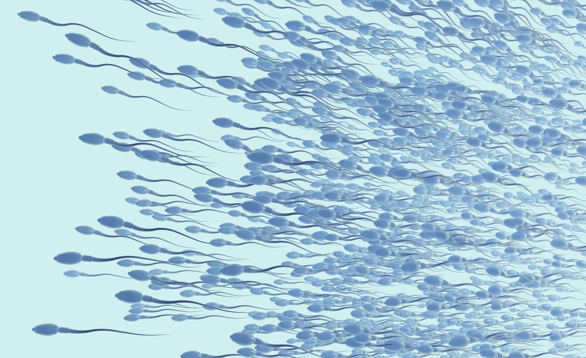 Male fertility: 10 tips for men trying to conceive | Live Science