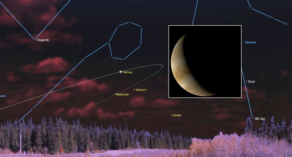 How to see Venus light the sky as the bright 'morning star' through ...