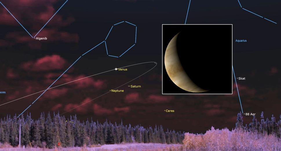How to see Venus light the sky as the bright 'morning star' through ...