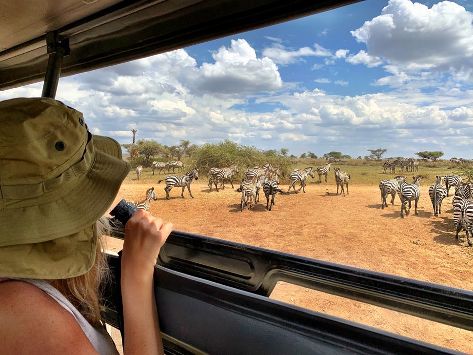 Best lenses for safari photography in 2026: get close to wildlife and ...