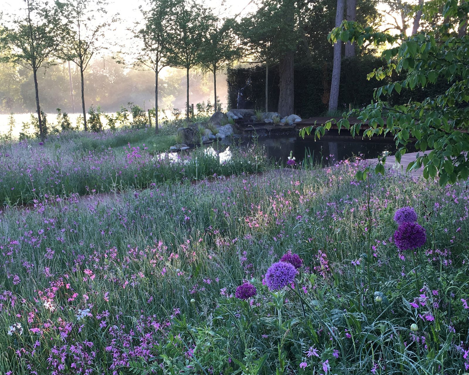 Wildflower garden ideas: 10 ways to grow meadow flowers | Homes and Gardens
