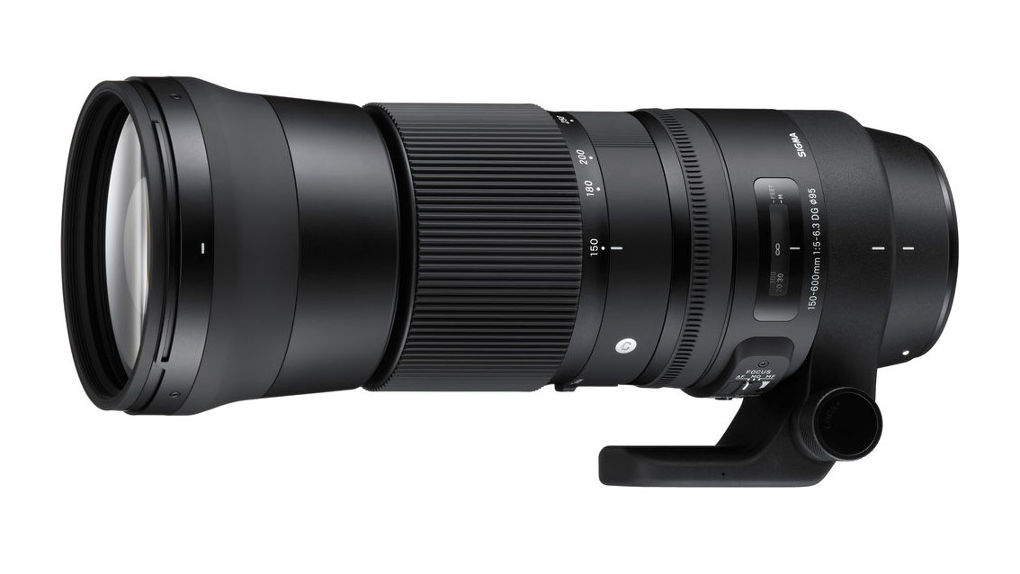 The best 150-600mm lenses in 2022 | Digital Camera World