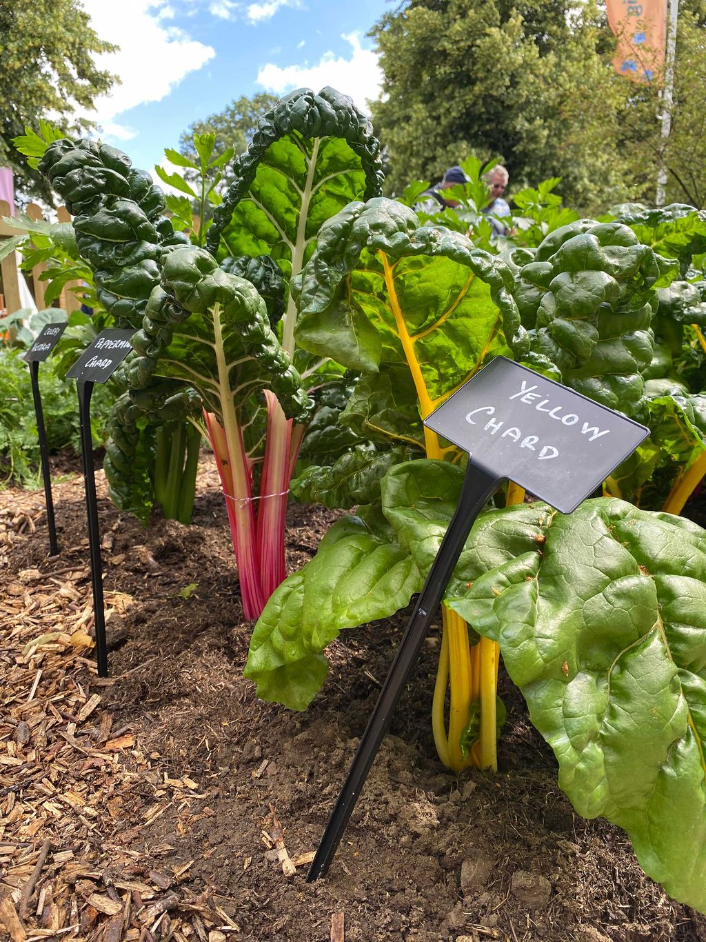 Manscaper Garrett Magee's edible garden tips | Gardeningetc