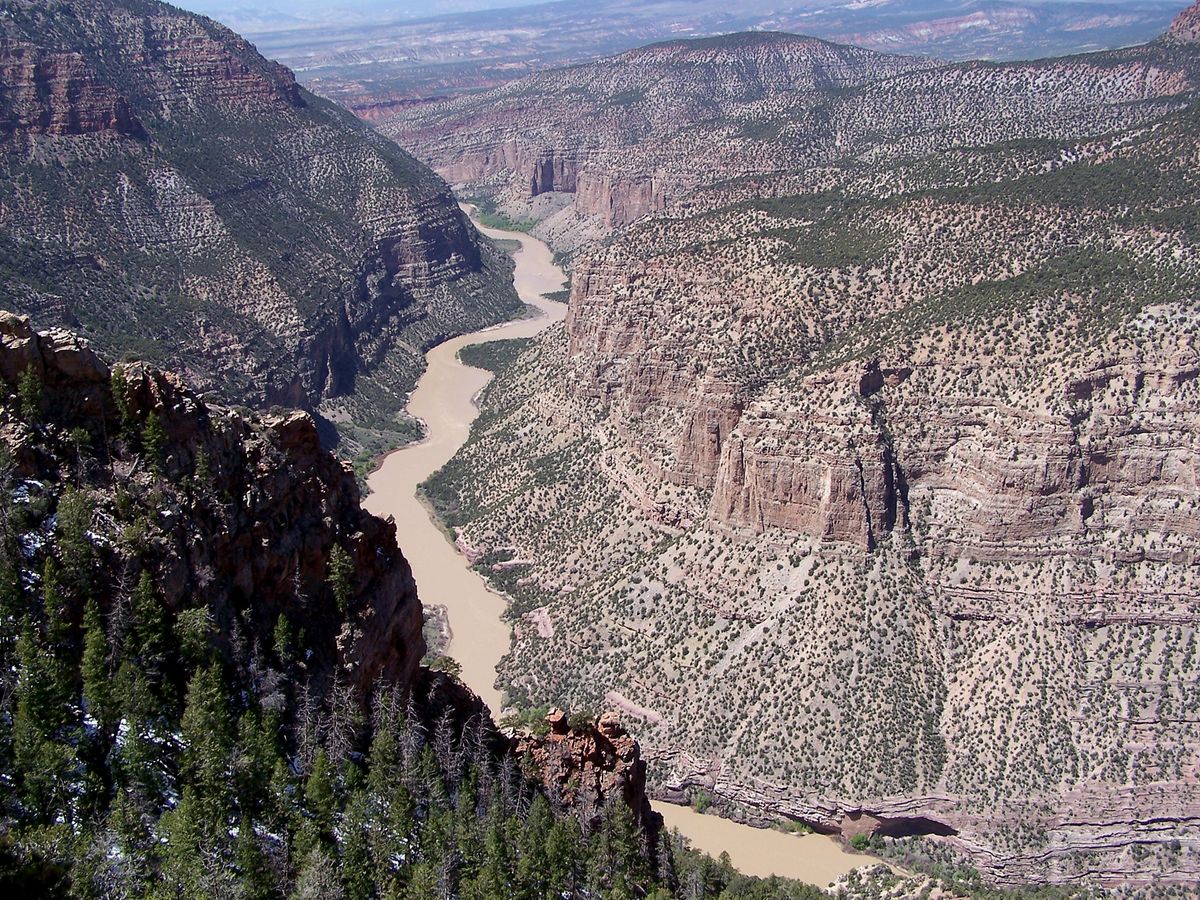 Dino Graveyard: Photos of Dinosaur National Monument | Live Science