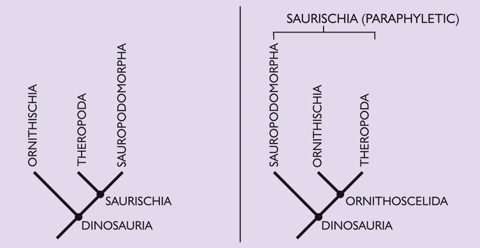 The Dinosaur Family Tree Has Been Uprooted | Live Science