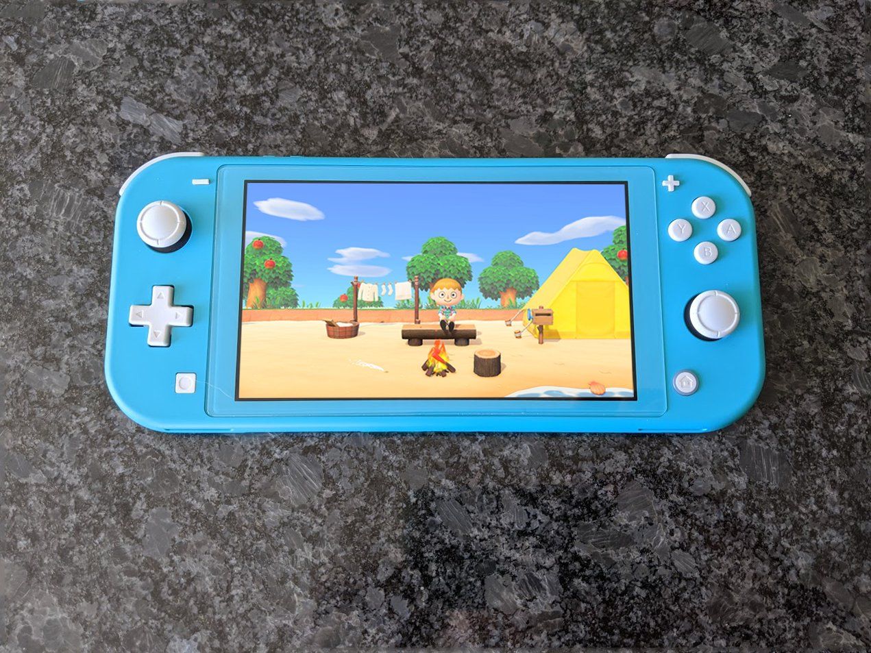 Can you play Animal Crossing: New Horizon on your Nintendo Switch Lite ...