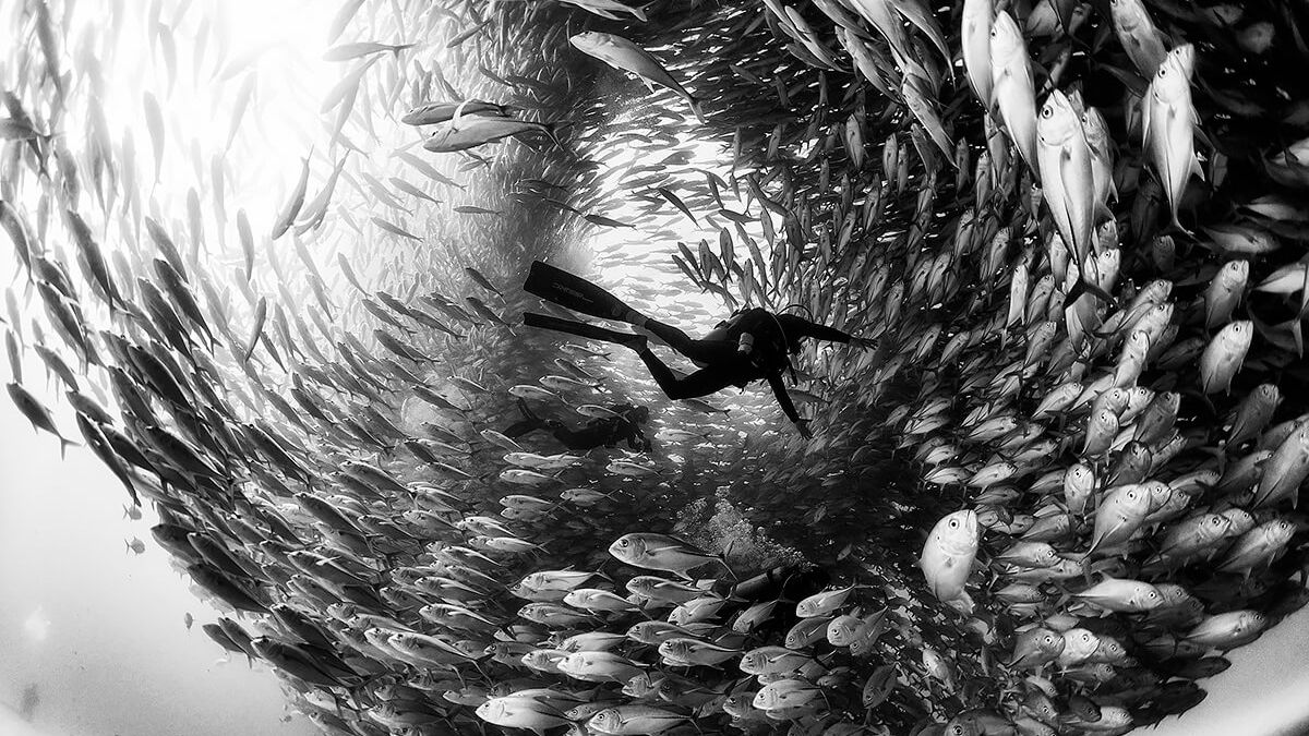 Mono images by women dominate top All About Photo Awards 2020 winners ...