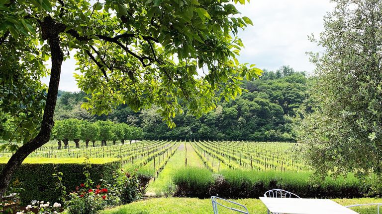Franciacorta Italy Vacation Guide - What to Do and Eat in This Lake ...