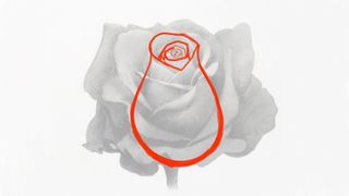 How to draw a rose: beginner and advanced tips | Creative Bloq