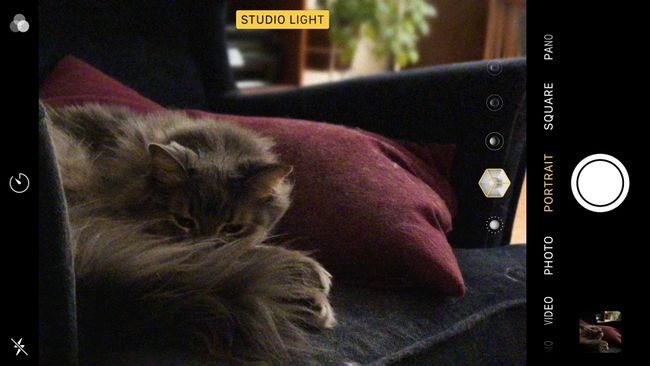 How to use Portrait mode and Portrait Lighting on iPhone | iMore