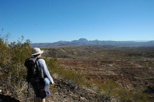 Articles by Lisa Van Pay | Live Science