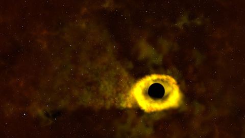 Gargantuan Black Hole Shreds Star in Rare Cosmic Find | Space