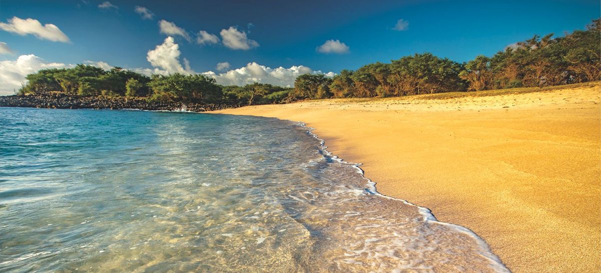 Molokai Ranch: An amazing subtropical paradise with a £195 million ...