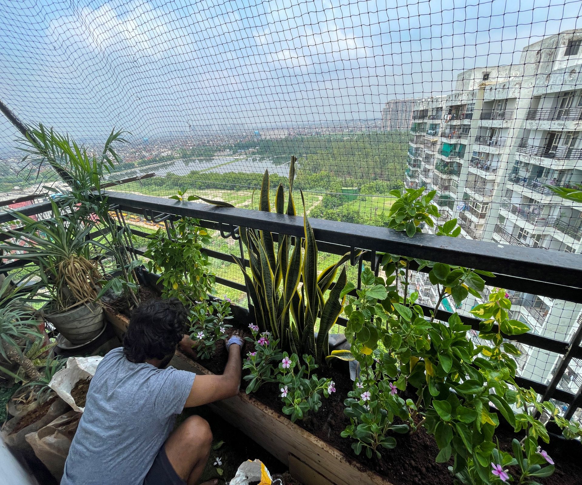 How to use plants to reduce noise pollution | Homes and Gardens