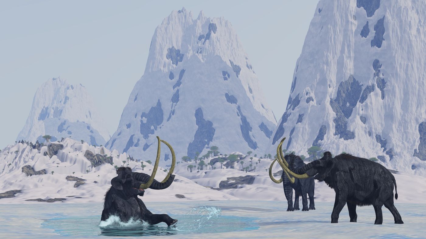 Trapped! Woolly Mammoth Bachelors Often Met Disastrous Ends | Live Science