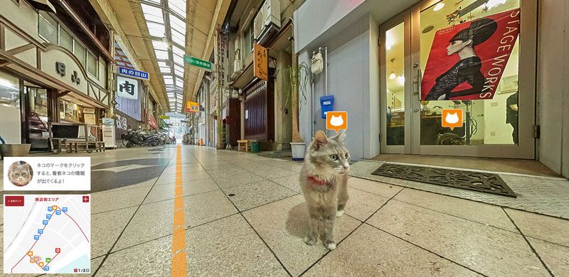 World's first Cat Street View Map created in Japan | The Week
