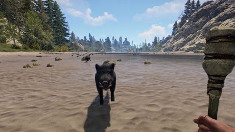 How to get food in Rust and avoid starvation | GamesRadar+