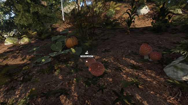 How to get food in Rust and avoid starvation | GamesRadar+