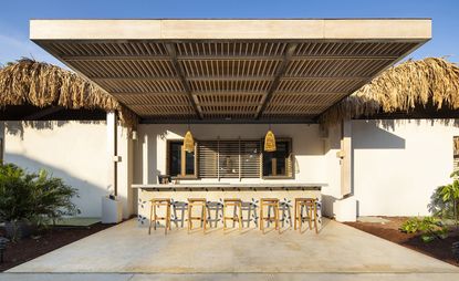 The Gilded Iguana | Wallpaper*