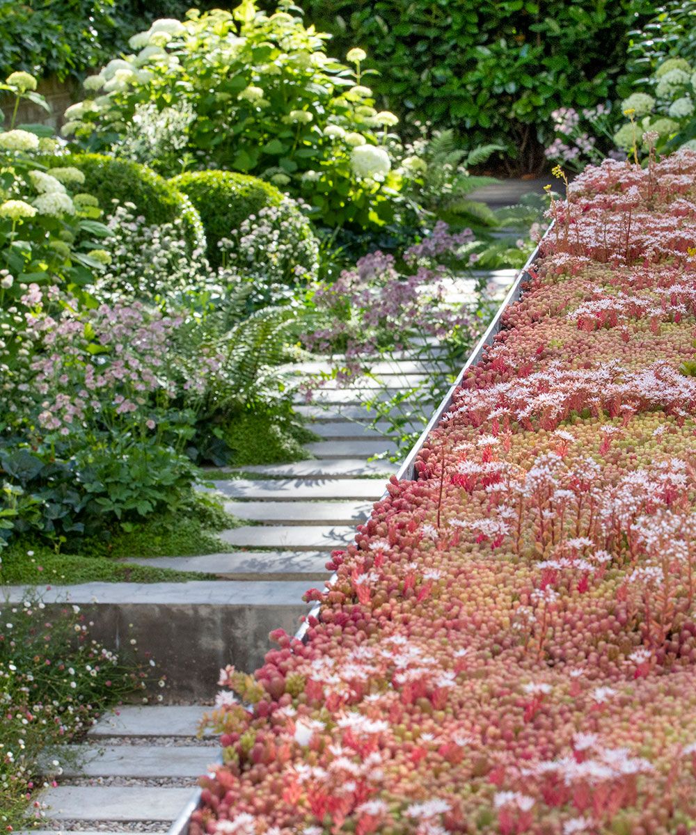 The Society of Garden Designers Awards – the winning gardens | Homes ...