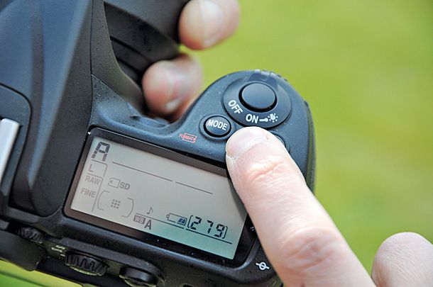 Bird photography tips: how to shoot pin-sharp pictures of birds of prey ...