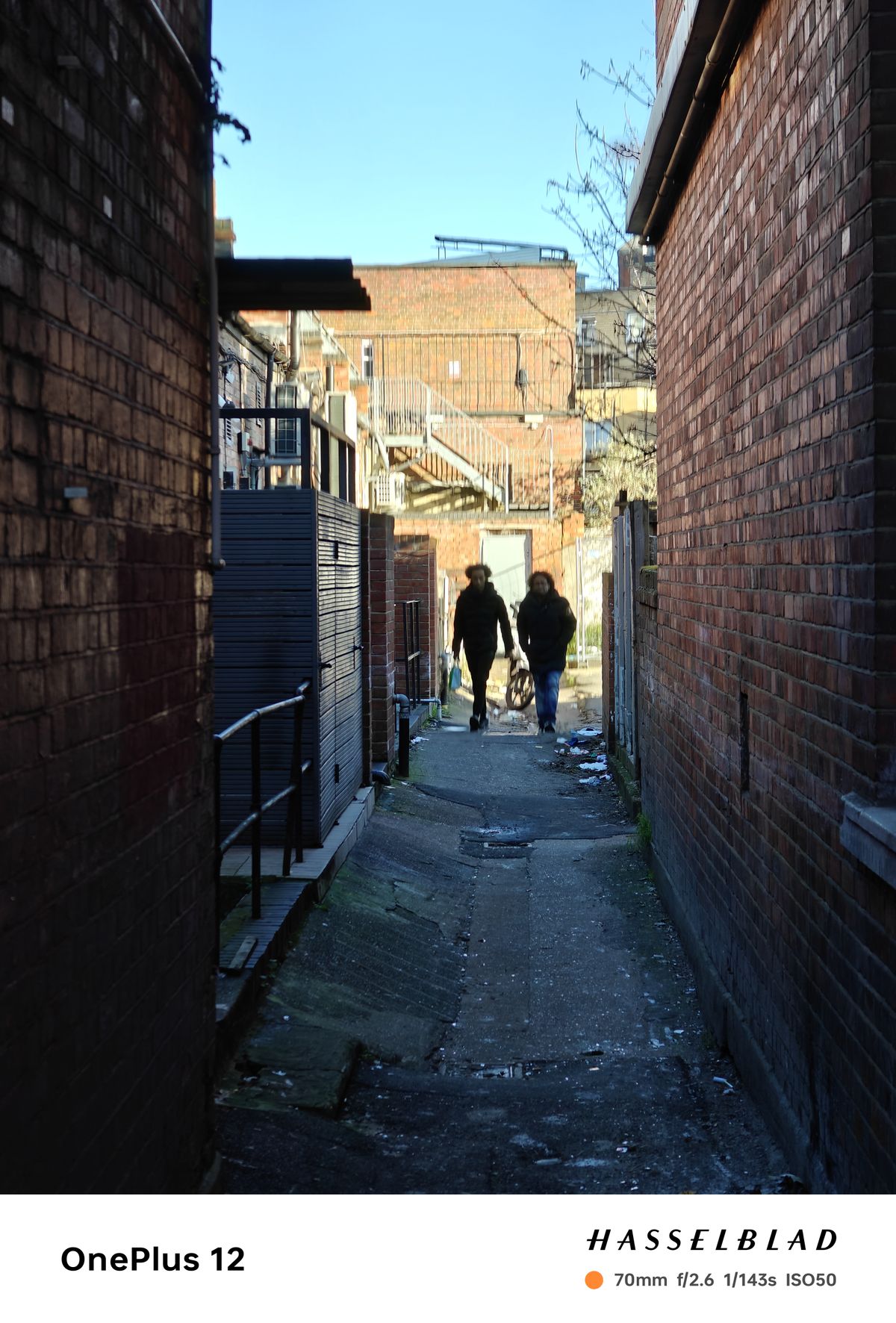 OnePlus 12 review: a Hasselblad-tuned camera and confusing pricing ...