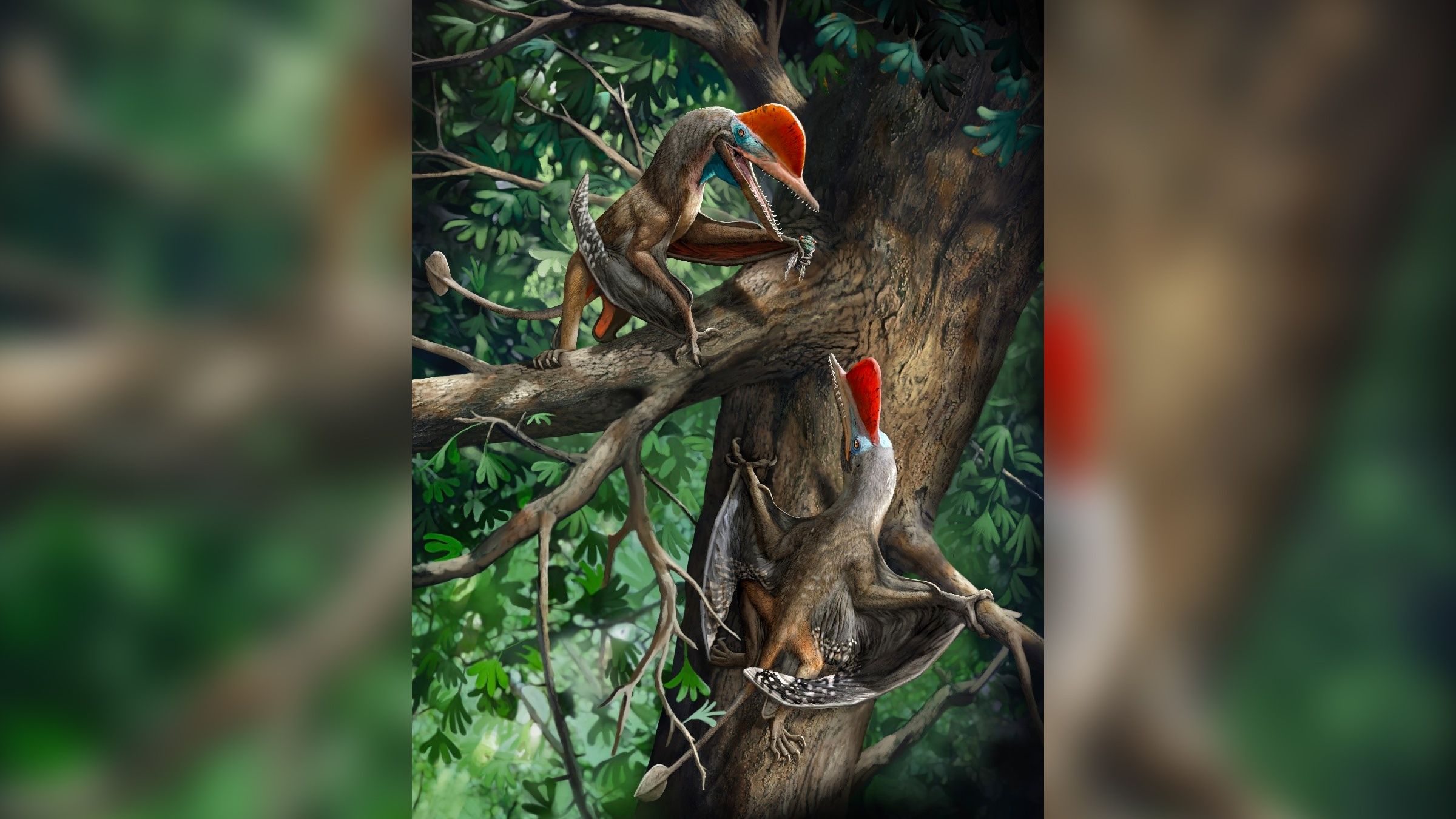 Tiny Jurassic 'Monkeydactyl' has the oldest pair of thumbs on Earth ...