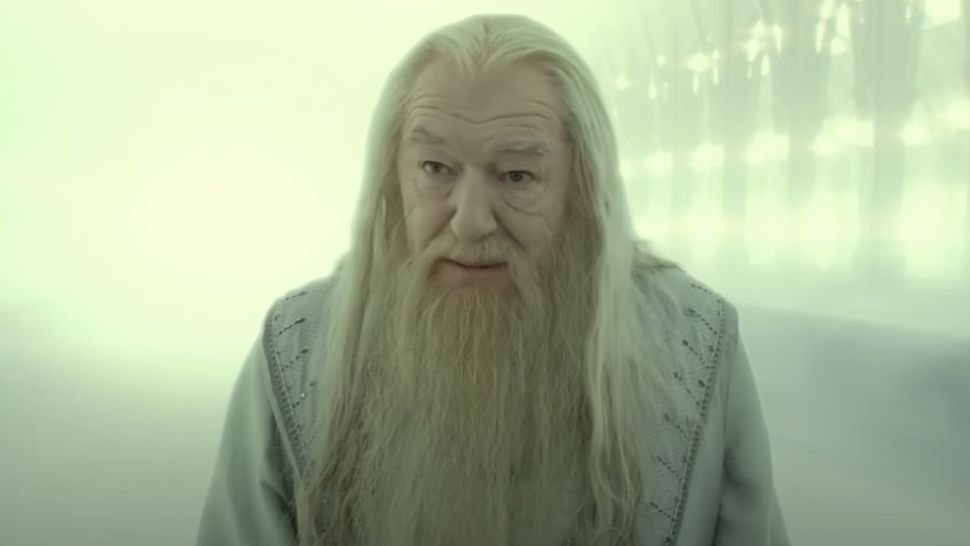 The Lovely Way Fans At Universal's Wizarding World Of Harry Potter Paid ...