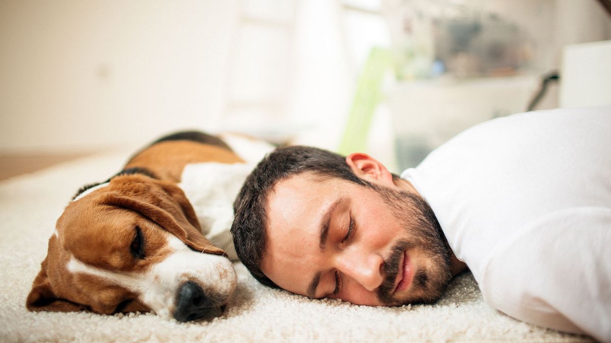Is Sleeping On The Floor Good For You We Asked A Sleep Expert For