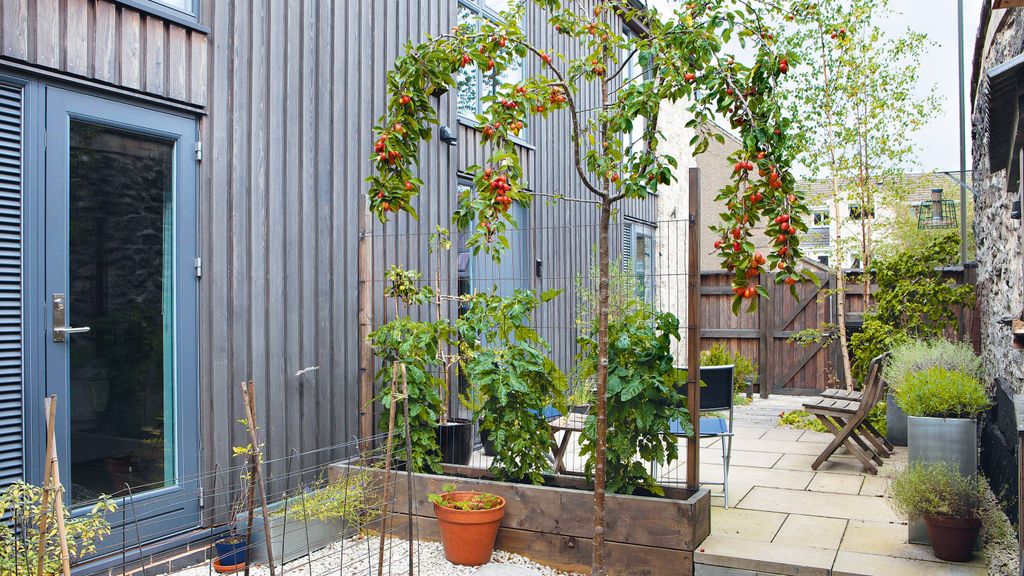 House cladding guide: Which material is right for your home? | Homebuilding