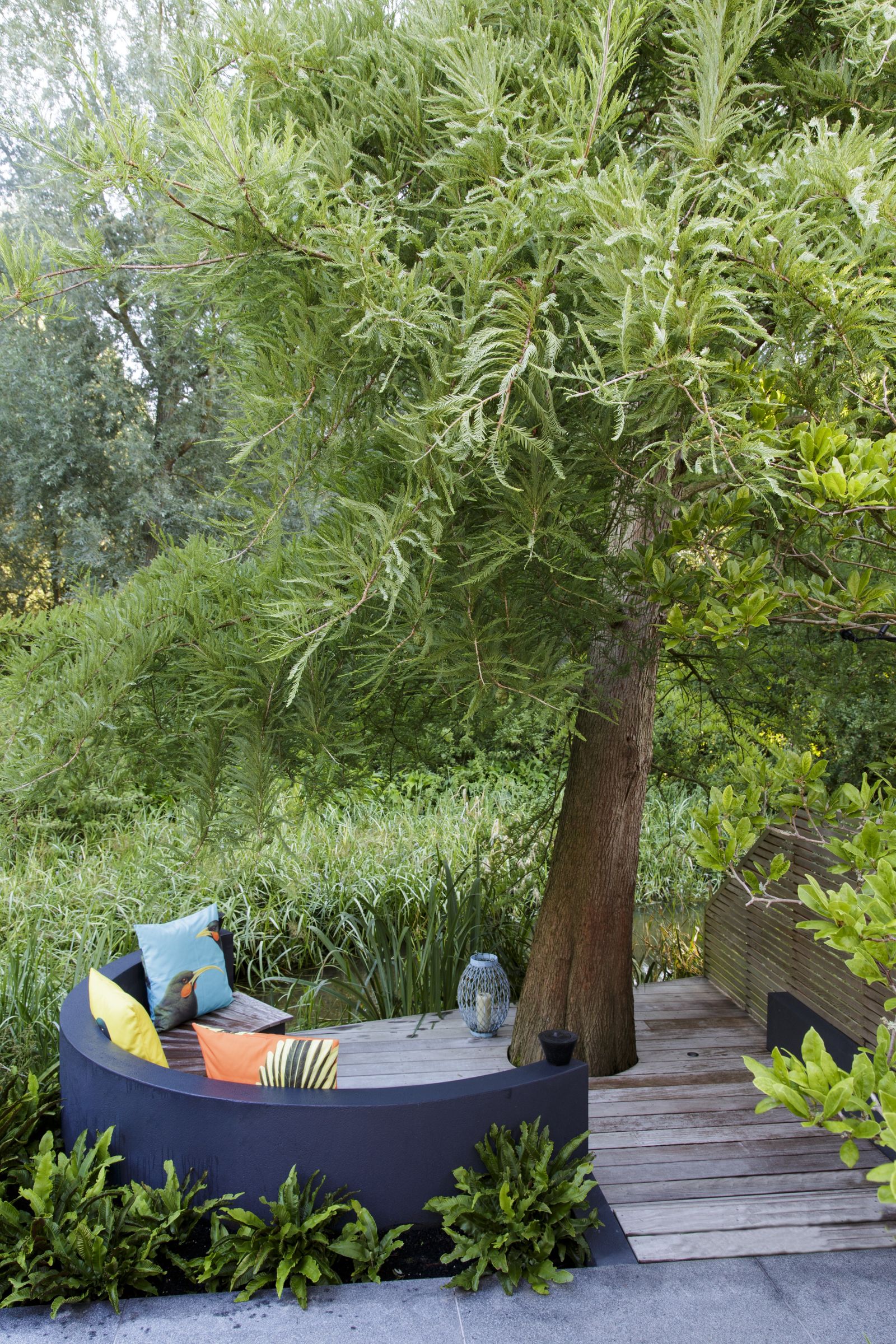 Landscaping around trees – 10 stunning ideas | Homes and Gardens