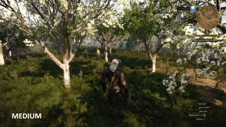 Witcher 3 graphics options, performance and settings | PC Gamer