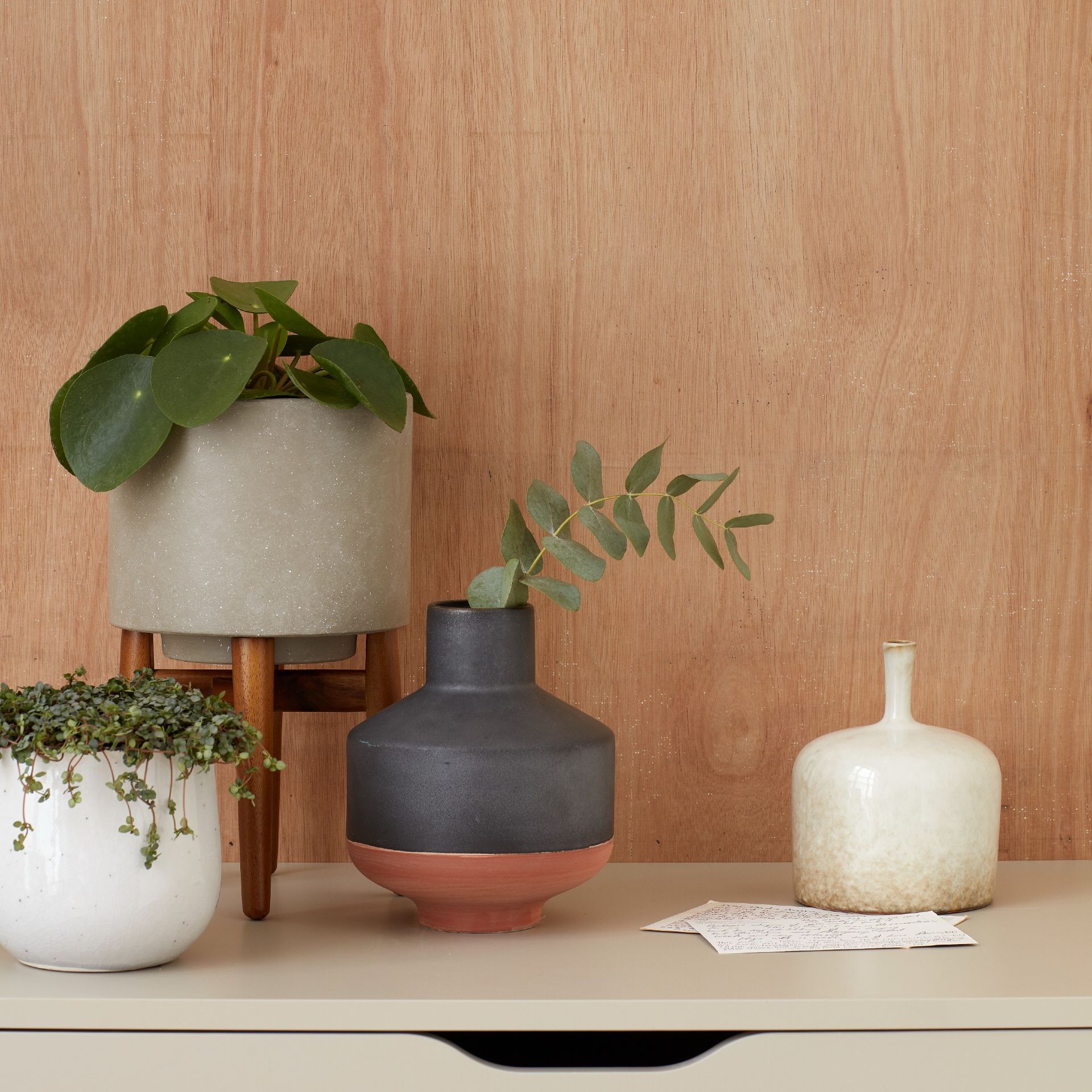 Plant beading is going viral but experts warn against it | Ideal Home