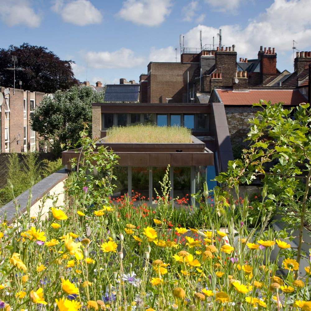 Green roof systems – a guide to installing a sedum roof at home | Ideal ...