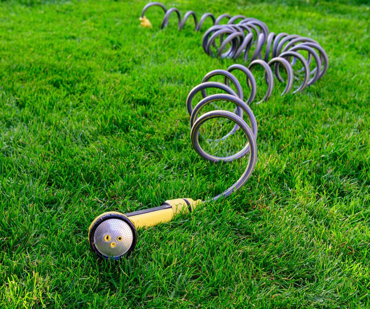 How to disguise a garden hose: expert tips for a tidy yard | Homes and ...