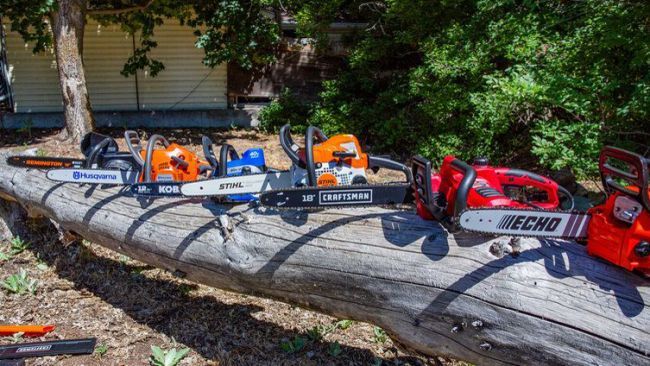 Best chainsaws in 2024 | tried and tested by experts | Top Ten Reviews