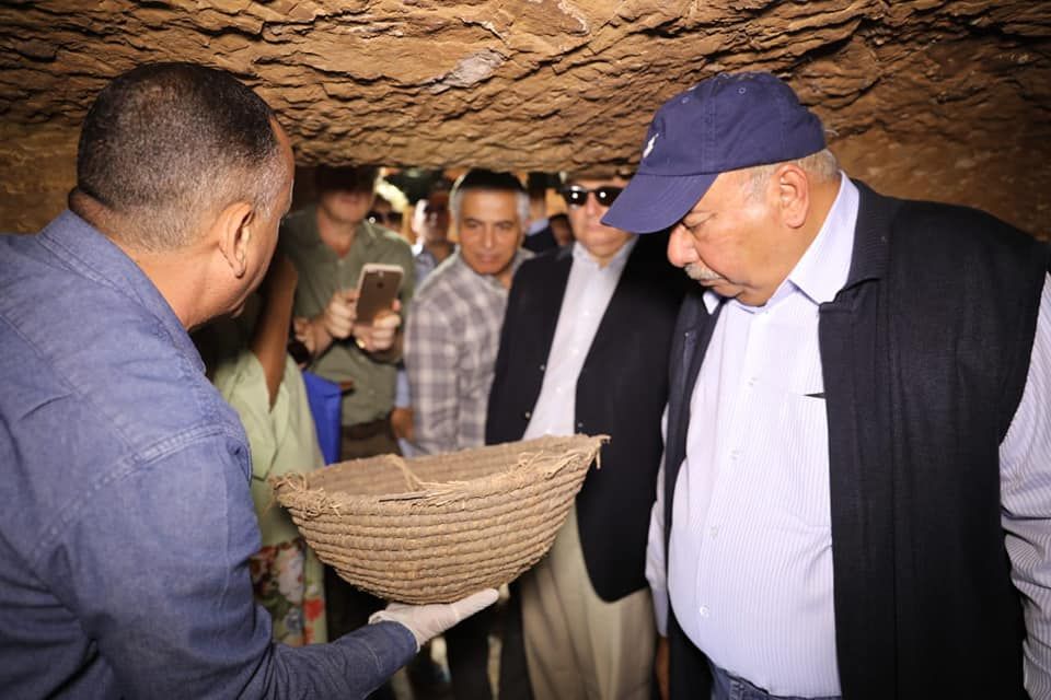 Purrfect Photos: Cat Mummies and Wooden Cat Statues Discovered at ...