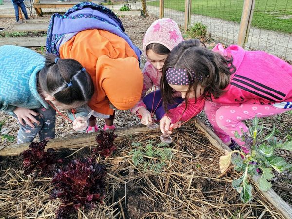 Tips & Information about Ideas & Inspiration - Page 8 | Gardening Know How